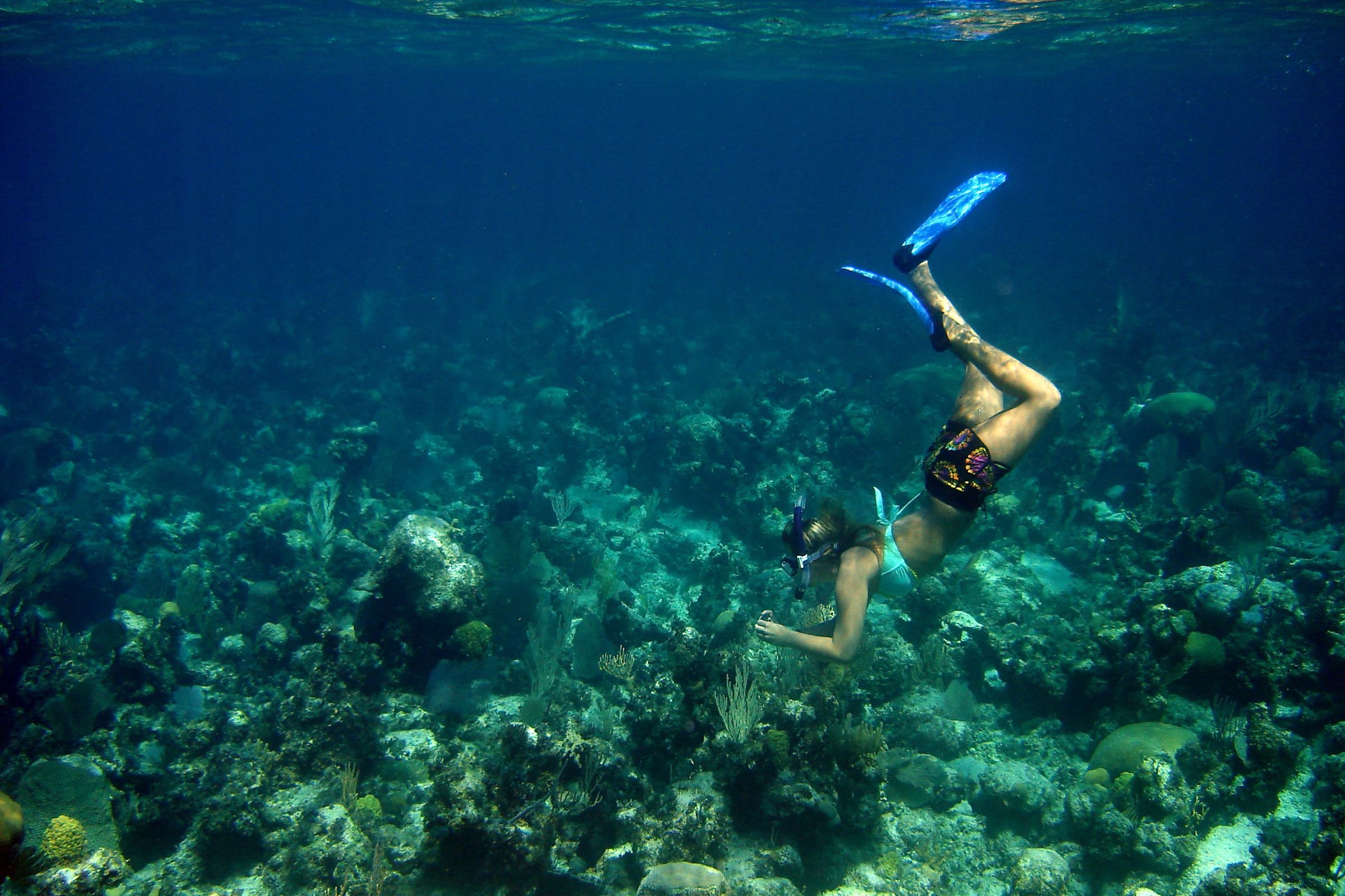 Andros Archives - Uncommon Caribbean