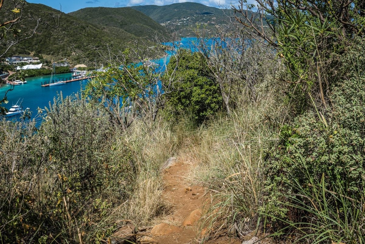 Hiking Nature's Little Secrets in the BVI's