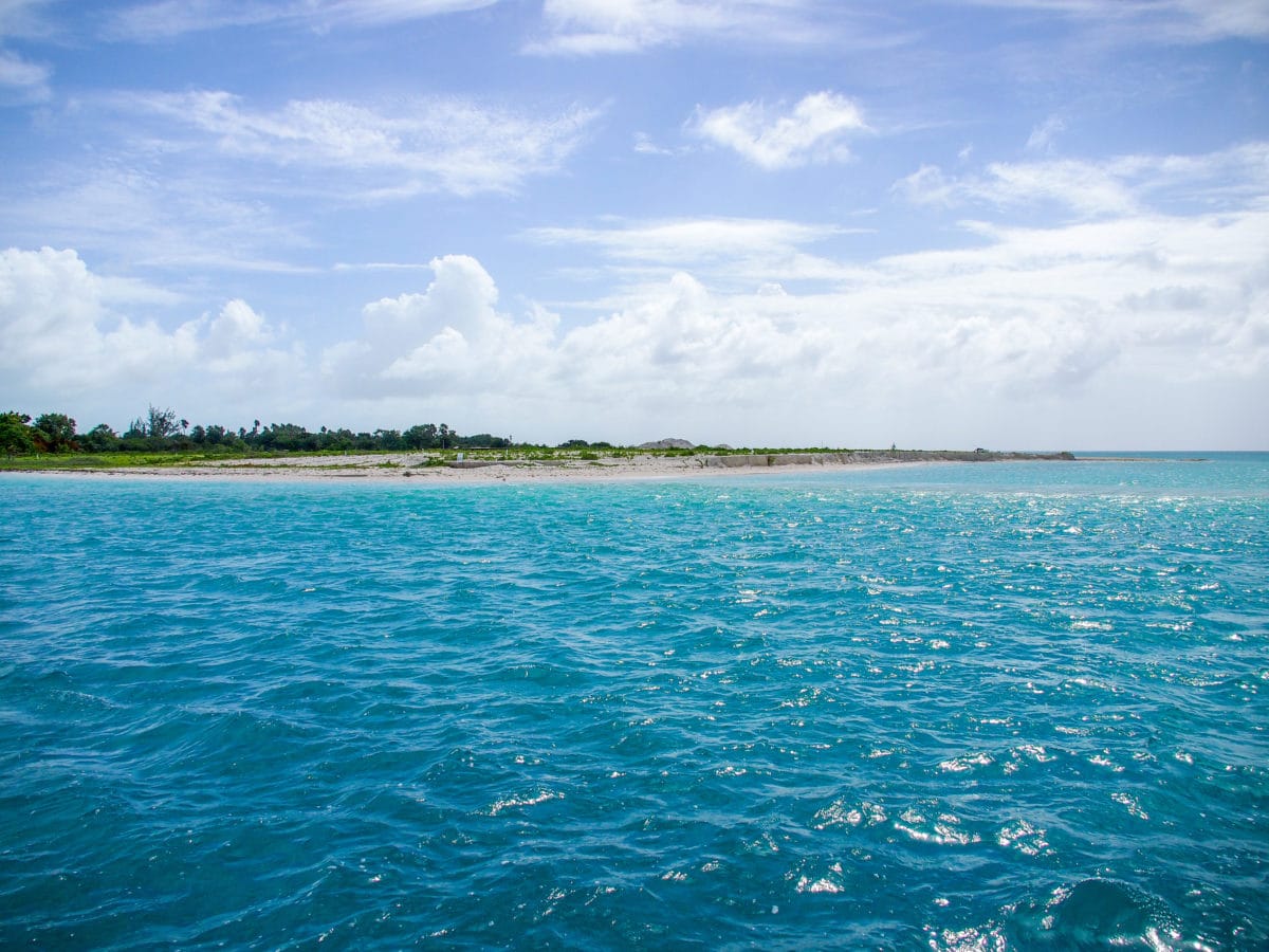 Running Free Along The Shores of Five Cays, Turks and Caicos