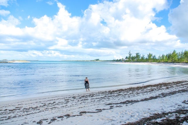 Green Turtle Cay Beaches