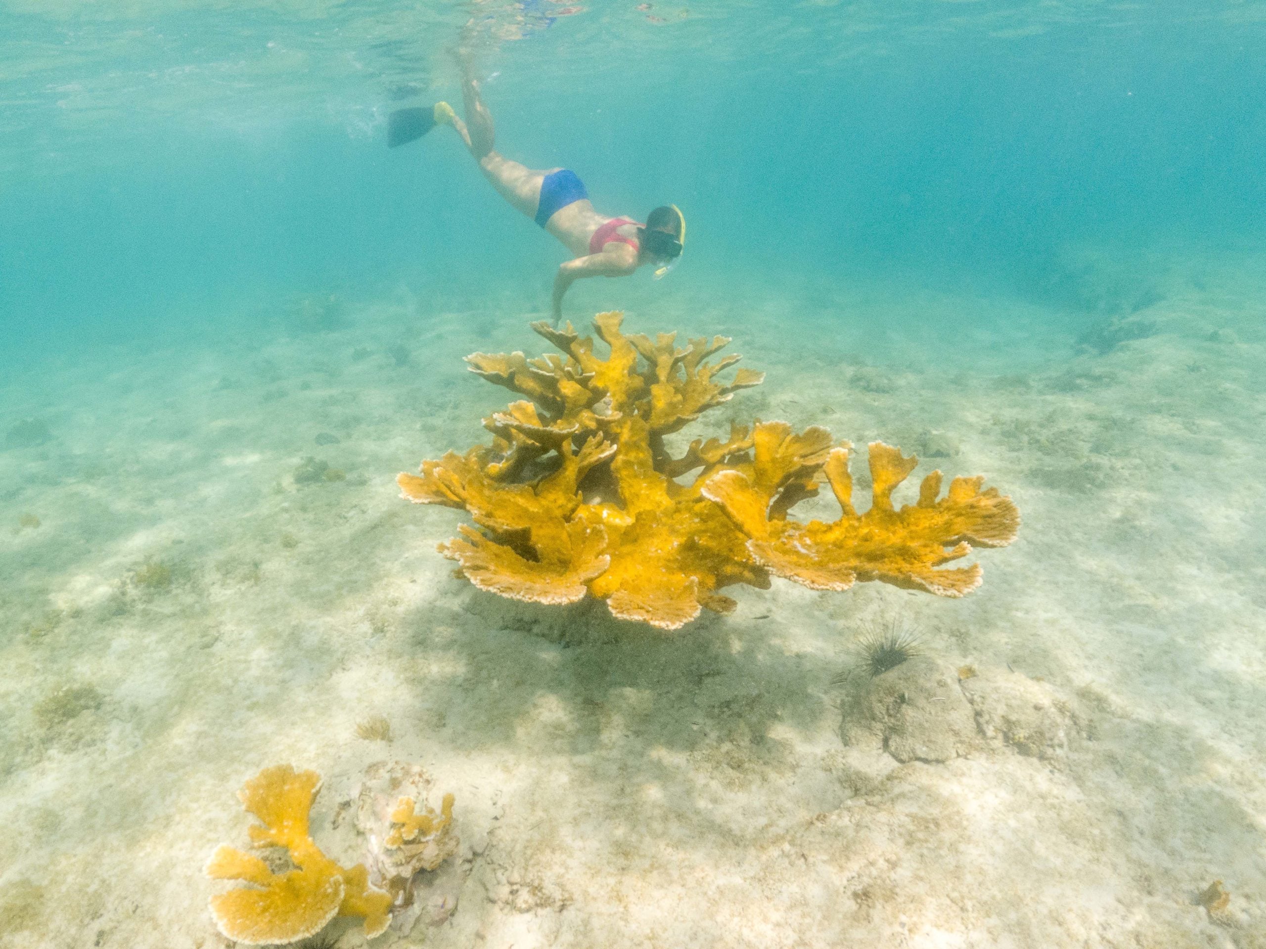 Frederiksted Pier, St Croix: Must Do's (and Don'ts) When You Visit